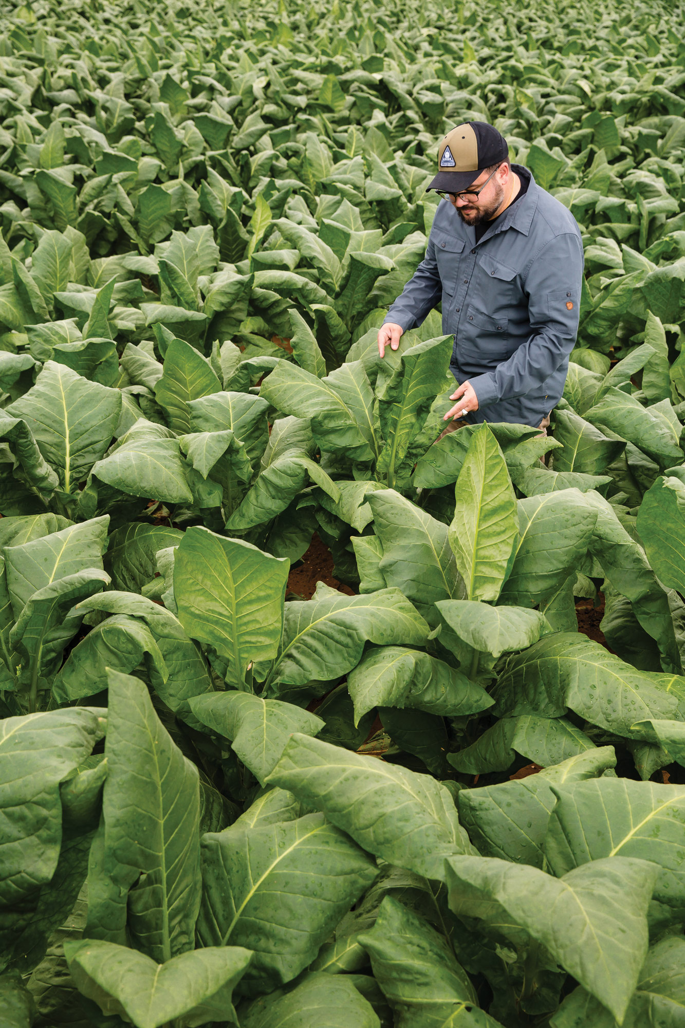 Nick Melillo: Renaissance Man | Cigar Snob Magazine