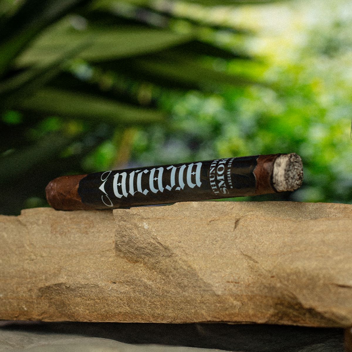 CAO to Launch Cigar Featuring South African Tobacco and African Filler ...